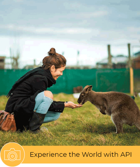 Gap Programs for Your Gap Year - API Abroad